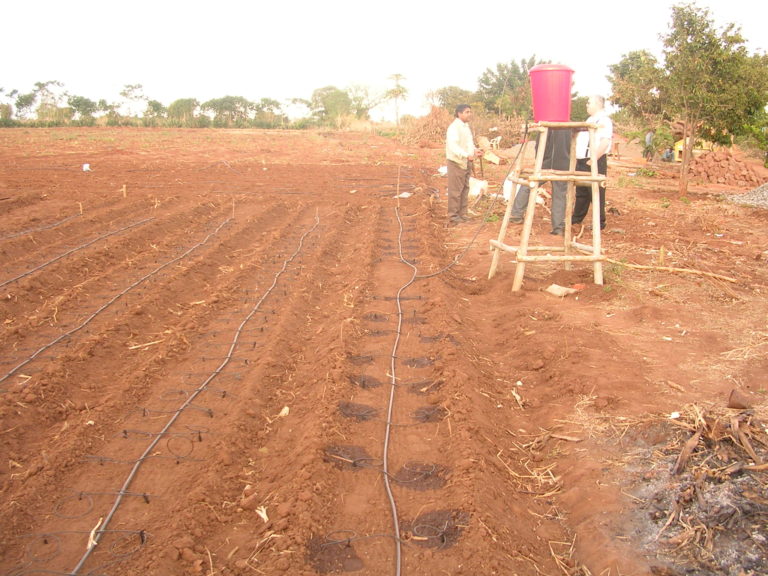 Microtubes - Ecoflo Irrigation